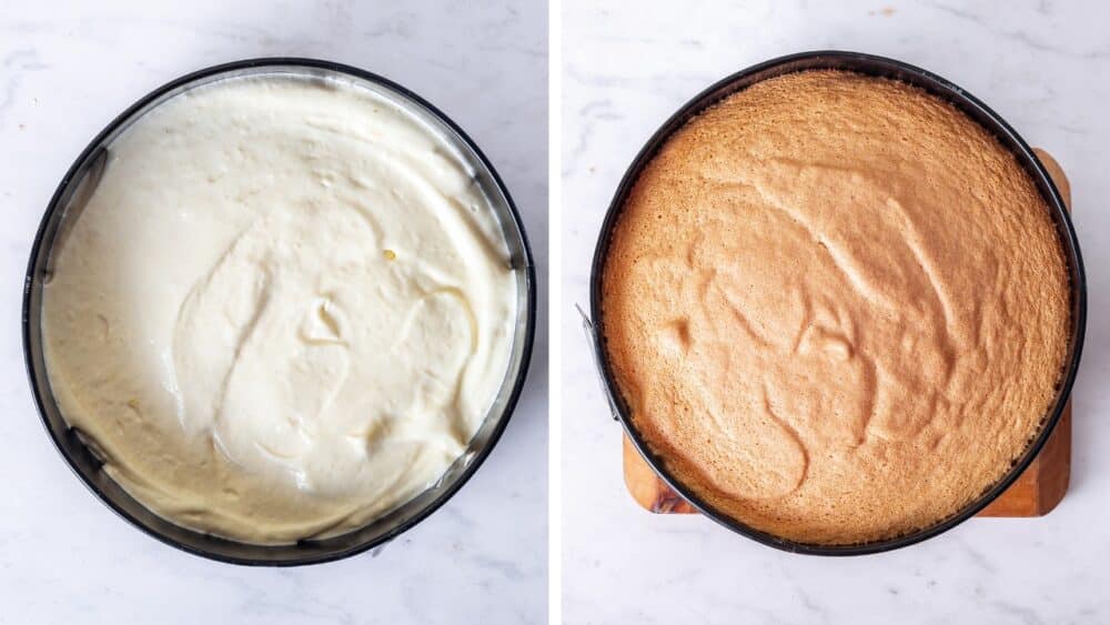 European Biskvit Cake with Easy Cream (Sponge cake) - All We Eat