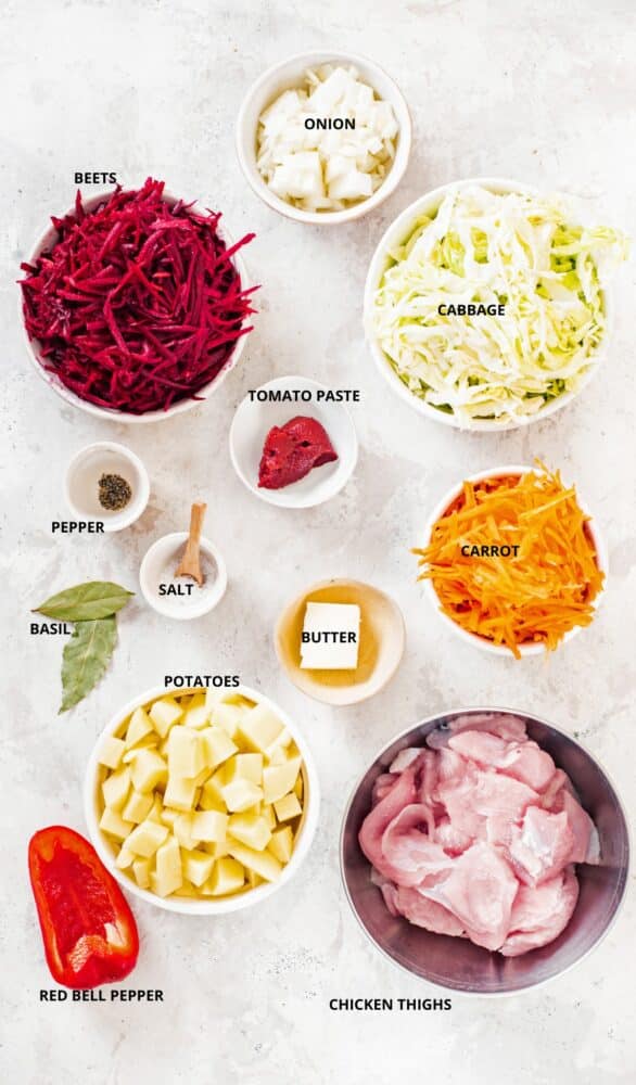 Homemade Simple and Classic Red Borscht - All We Eat